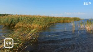 Прогулки по воде / Walking on the water