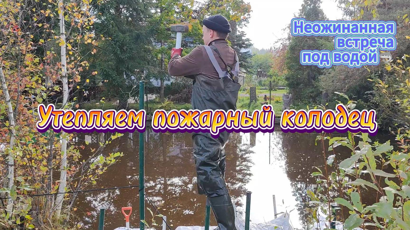 Пруды