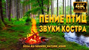 Звуки Костра ASMR