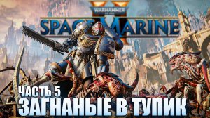 warhammer 40000 space marine 2