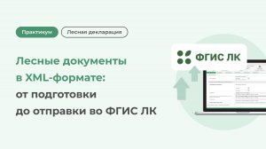 Вебинары по лесной декларации