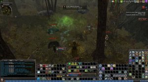 Dungeons &amp; Dragons Online: R1 Solo - Quest Level 10