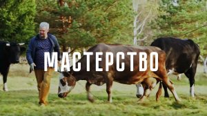 Документальный цикл «Мастерство»