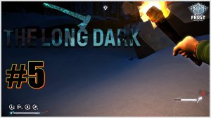 The long dark