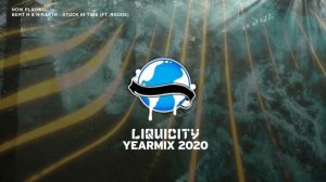 Liquicity year Mix