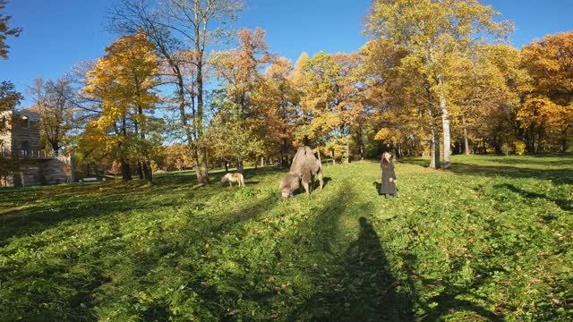 Санкт-Петербург Веломаршруты