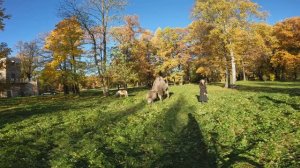 Санкт-Петербург Веломаршруты