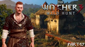 Прохождение The Witcher 3: Wild Hunt