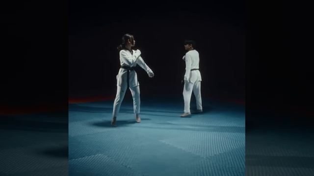 Taekwondo WTF. Показательные выступления.