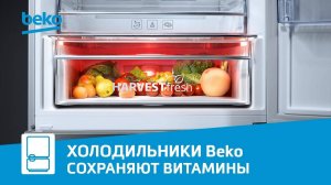 Техника для дома Beko