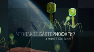 Бактериофаги