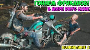 Стримы Days Gone. Испытания, Орды, пешком, без байка!