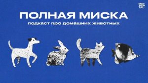 ПОЛНАЯ МИСКА | ПОДКАСТ ПРО ДОМАШНИХ ЖИВОТНЫХ