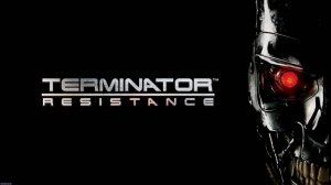 Terminator Resistance