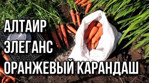 Урожай одного дня. Обзор.