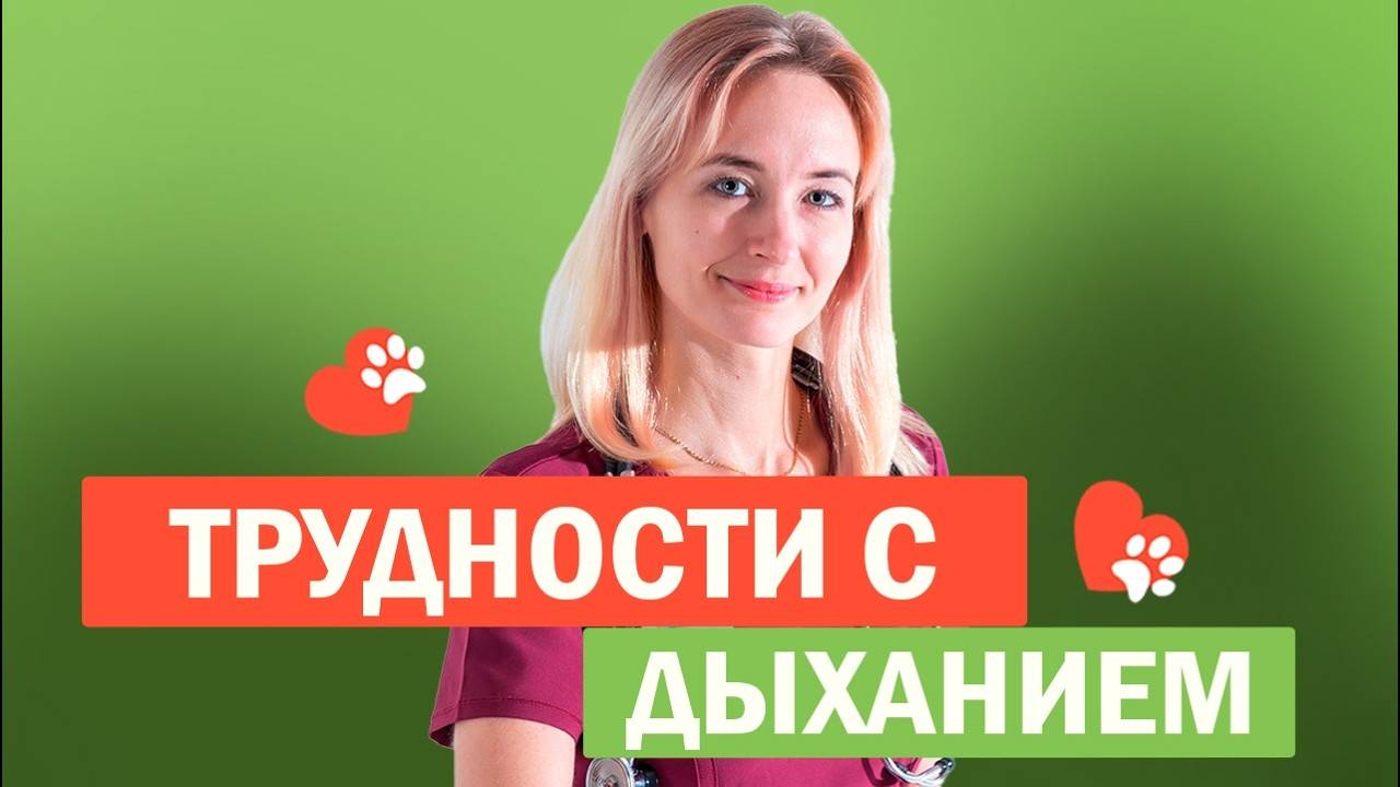 Вебинары и обучающие материалы