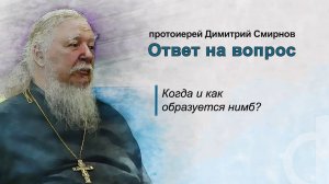 Протоиерей Димитрий Смирнов. Вопросы и ответы