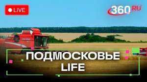 Подмосковье LIFE