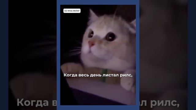 Юмор SMM