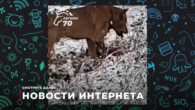 Итоги дня