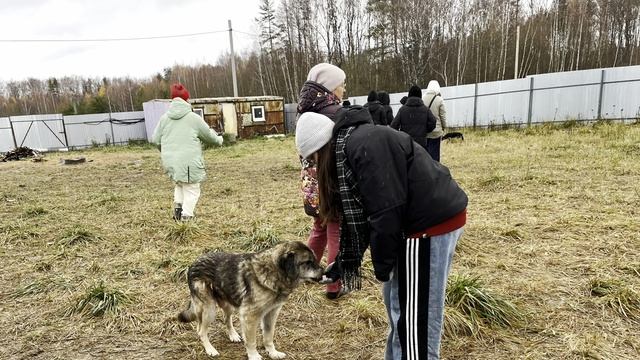 Президентский грант