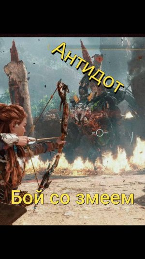 Шорты и трусы