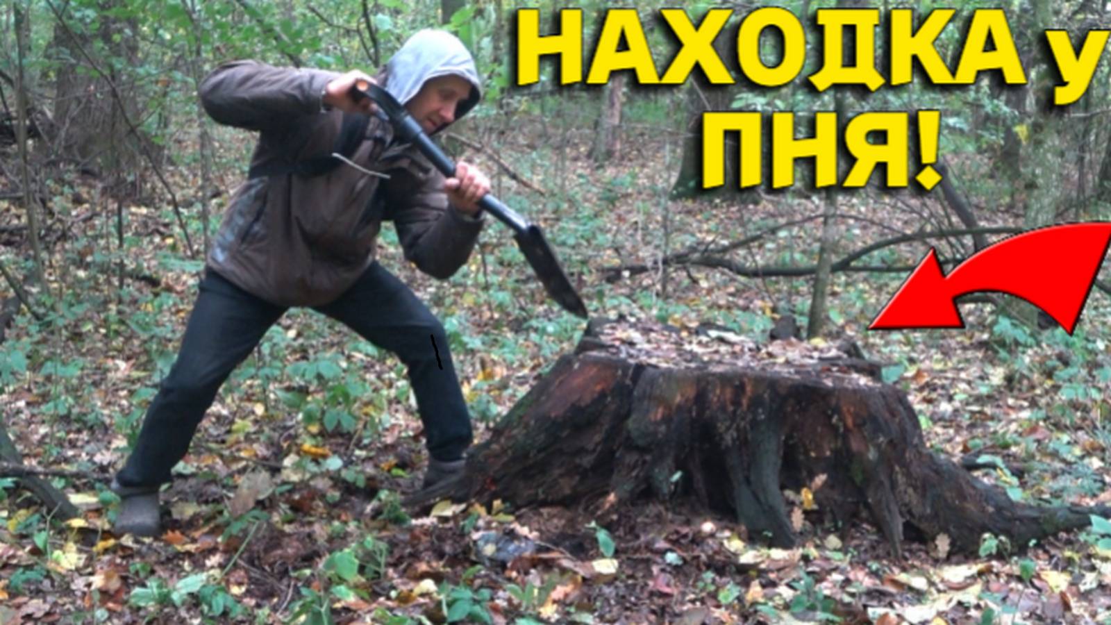 Супер Находки в Лесу и Поле!