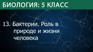 Биология: 5 класс