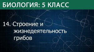 Биология: 5 класс