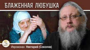 Беседы иеромонаха Нектария (Соколова)