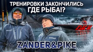 Турнир Zander and Pike Осень 2024