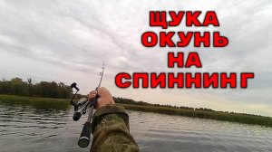 Щука и окунь на спинниг