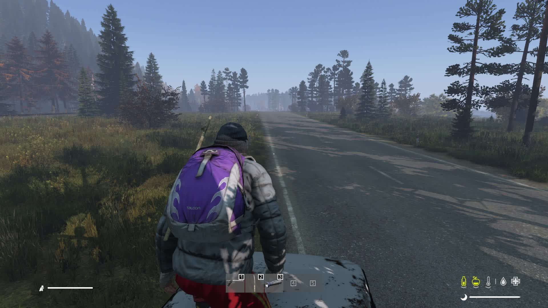 DAYZ