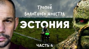 Эстония. Тропой болотного монстра.