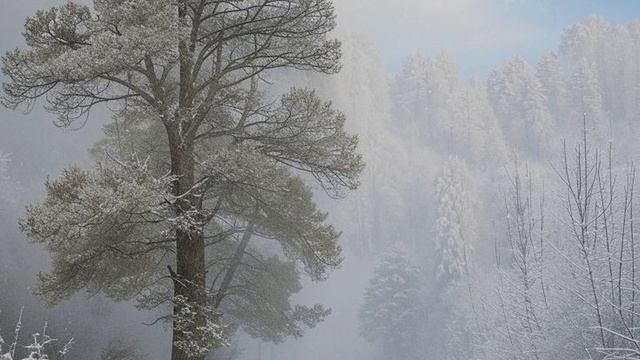 Звук зимы и ветра