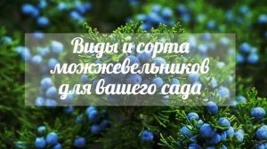 Лекции по агротехнике и садоводству