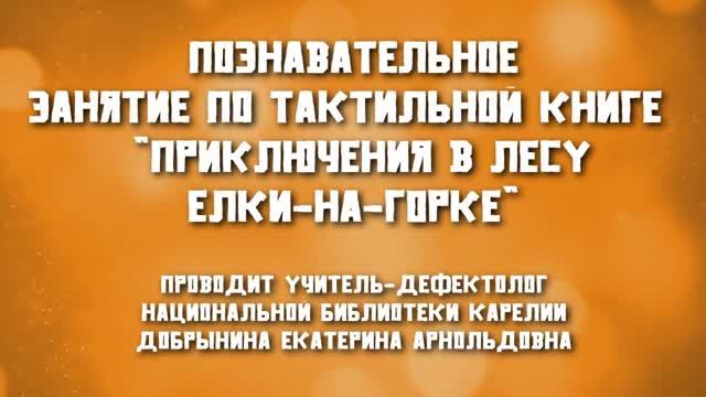 Тактильные книги Национальной библиотеки Карелии