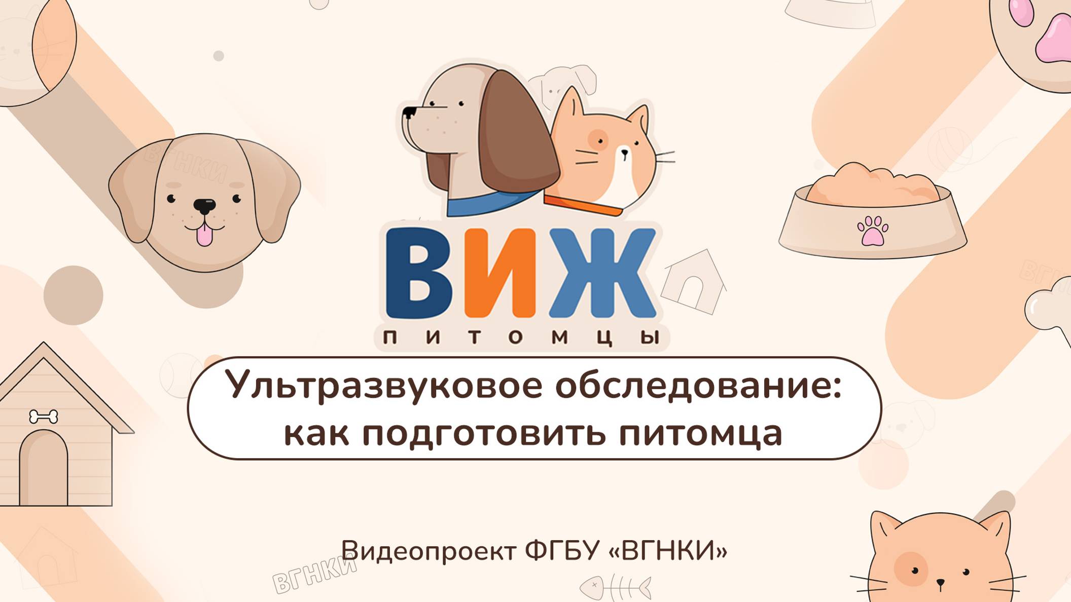 ВИЖ Питомцы