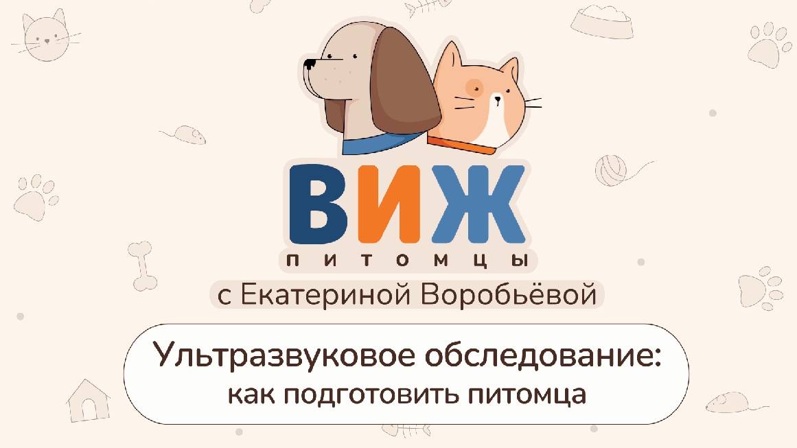 ВИЖ Питомцы