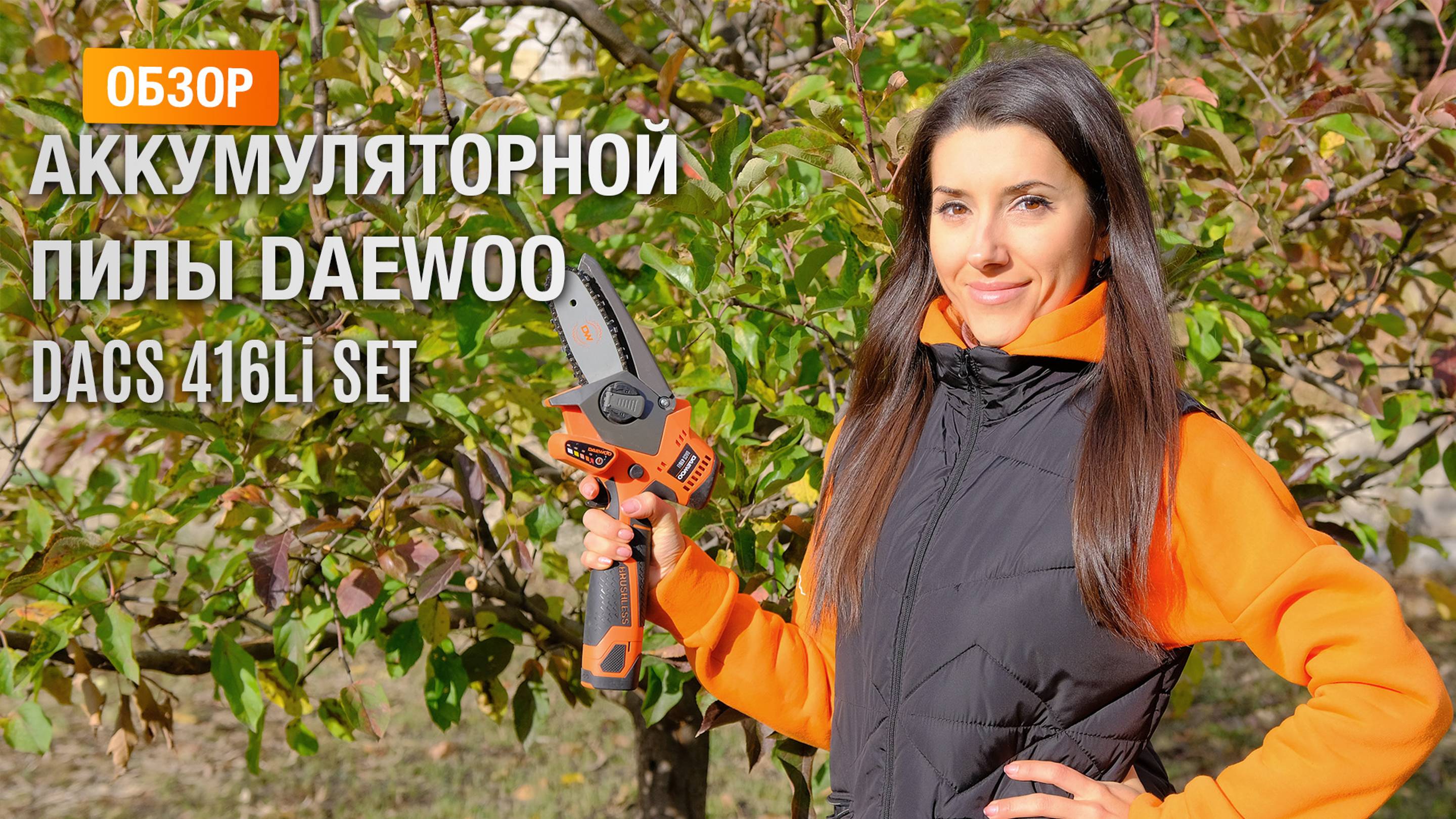 16В Li-ion единая платформа DAEWOO