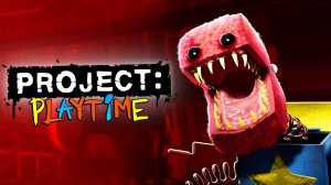 Project Playtime