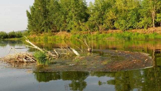 Помнишь как в Зиргане нашем милом