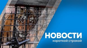 Новости короткой строкой (II)