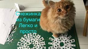 Новогодний декор и заготовки