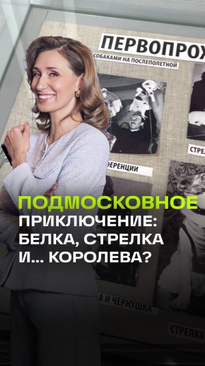 Куда поехать в Подмосковье. Достопримечательности, маршруты. Ольга Лисакова