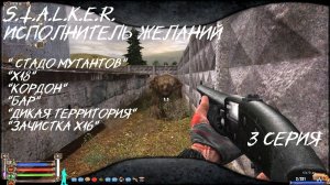 S.T.A.L.K.E.R. Исполнитель желаний (2008 год)