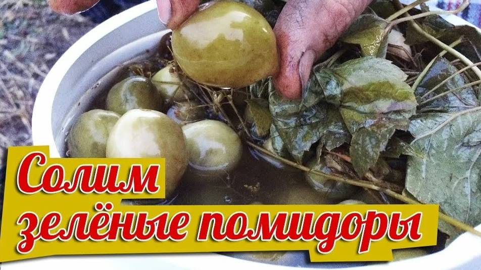 Засолки и заготовки на зиму