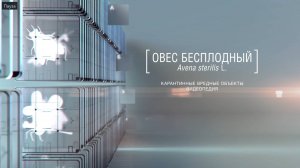 Видеопедия ″Карантинные вредные объекты″