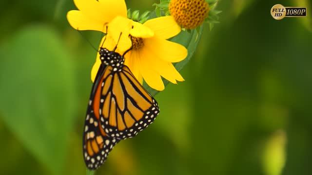 Bayreuth ″Röhrensee″ Tierpark