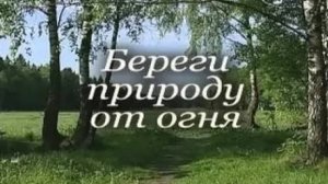 Экология. Правила поведения на природе, или пять лесных заповедей